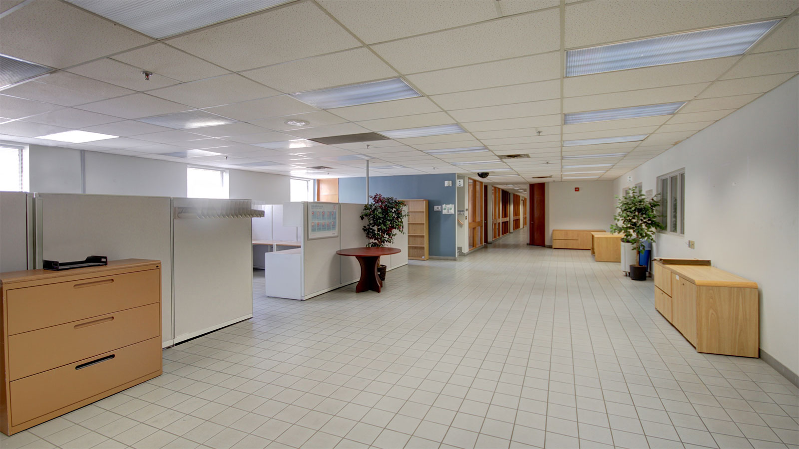 Home - English - MLI Group