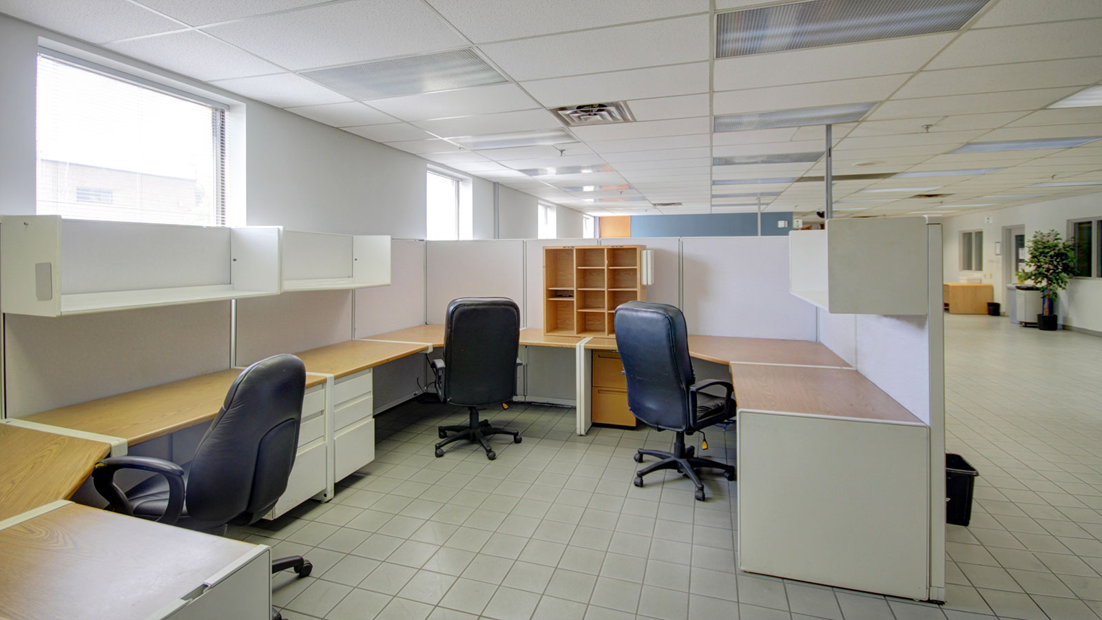 Home - English - MLI Group